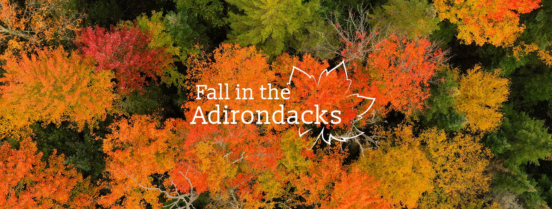 Fall in the Adirondacks