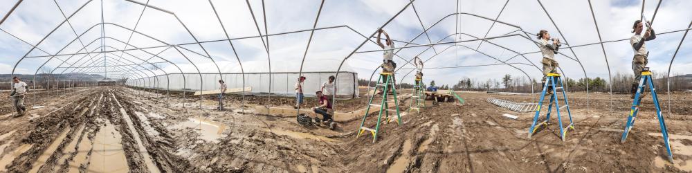 Fledging Crow Vegetables Greenhouse Installing Cross Bars | Adirondacks ...