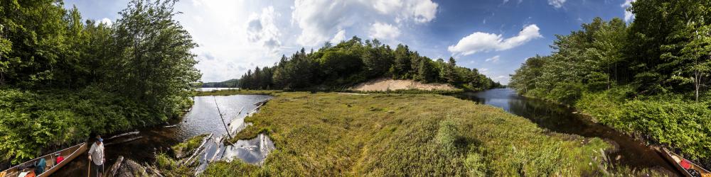 Lows Lake Floating Bog | Adirondacks, USA