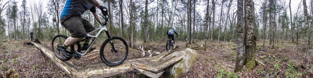 Lumber Yard Log Ride | Adirondacks, USA