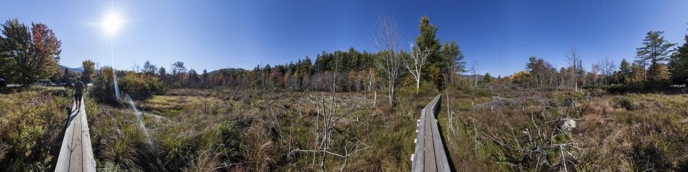 Roostercomb Trail Boardwalk | Adirondacks, USA