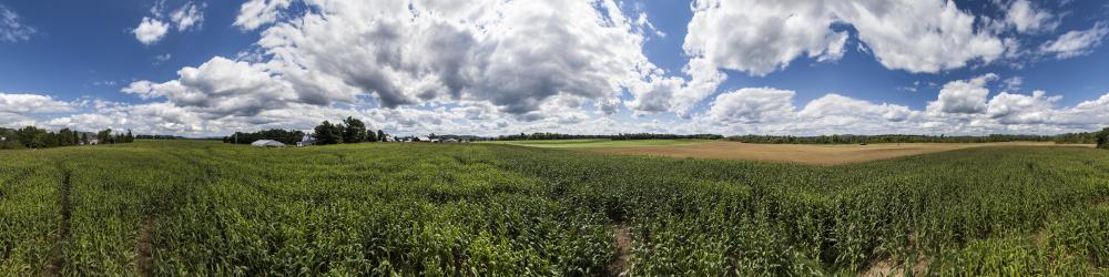 Tucker Farms Corn Maze Rock | Adirondacks, USA
